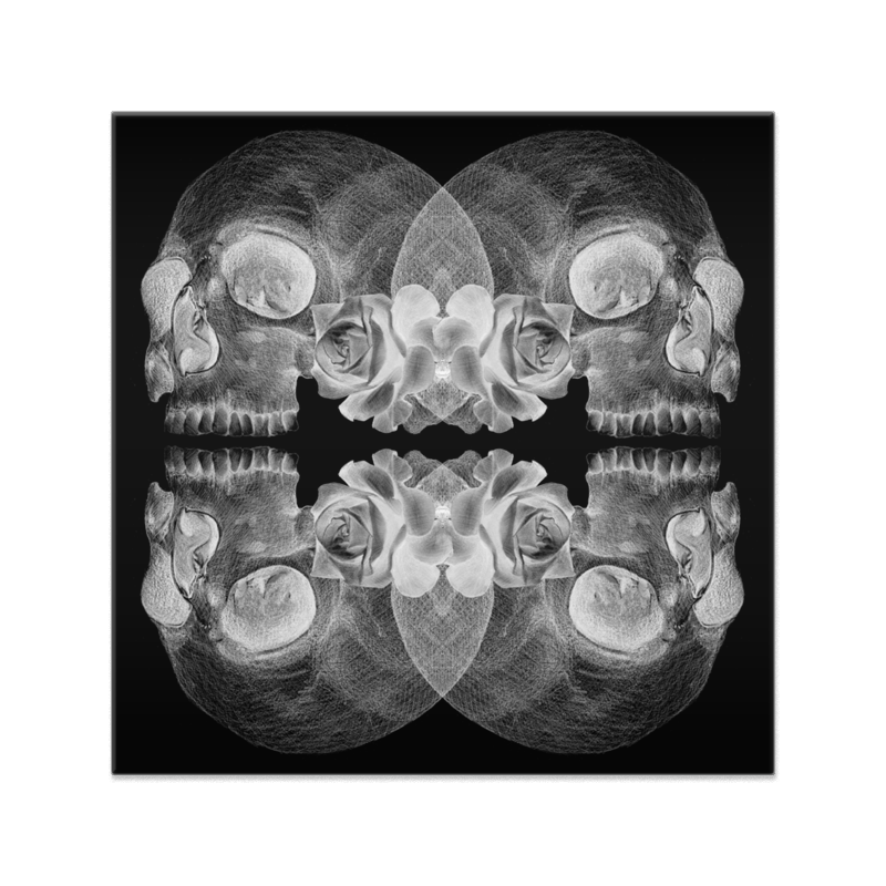 Azulejo Cranium flowers dark de Fernanda Victorello - Colab55