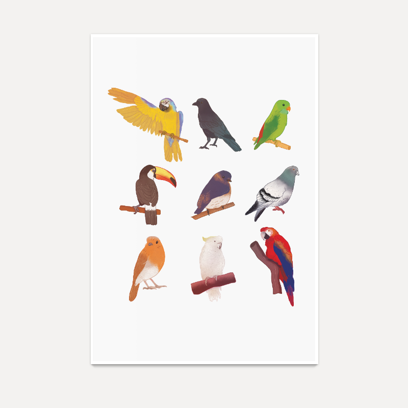Poster Aves de Talita - Colab55