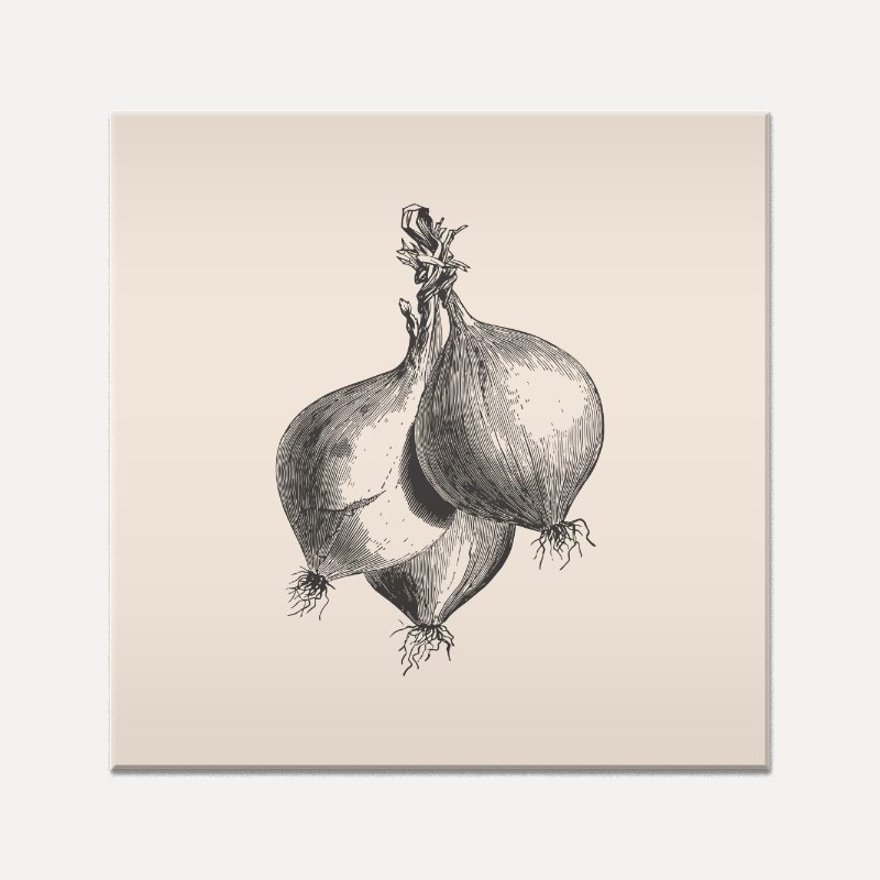 Azulejo Linha Botânica - Cebola de Sarah Stehling Montenegro - Colab55